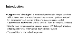 Cryptococcal meningitis.pptx