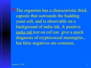 Cryptococcal Meningitis in internal medicine.ppt