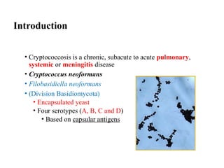 cryptococcosis-2025.pptx svsvvsvsvsvsvahshs | PPT