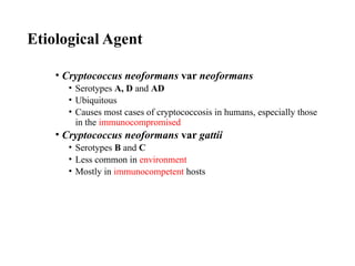 cryptococcosis-2025.pptx svsvvsvsvsvsvahshs | PPT