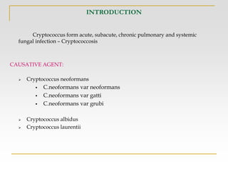 Cryptococcosis.ppt