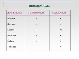 Cryptococcosis.ppt