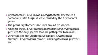 CRYPTOCOCCOSIS-APPROACH | PPTX