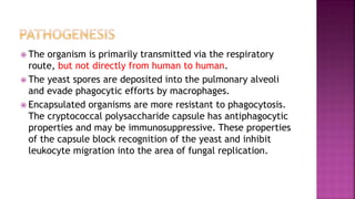 CRYPTOCOCCOSIS-APPROACH | PPT