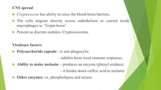 Cryptococcosis | PPTX