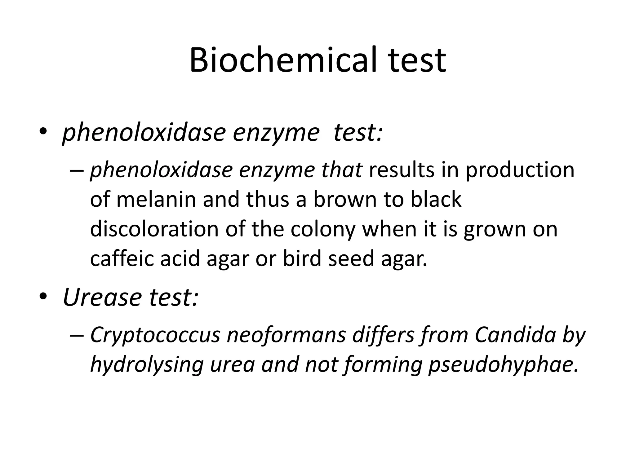 Cryptococcus | PPTX