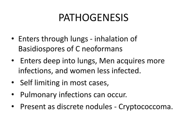 Cryptococcus | PPTX