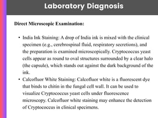 Medically Important Cryptococcus species.pptx