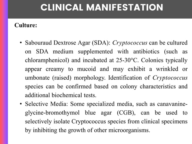 Medically Important Cryptococcus species.pptx