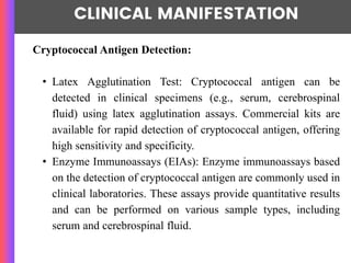 Medically Important Cryptococcus species.pptx