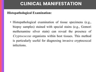 Medically Important Cryptococcus species.pptx