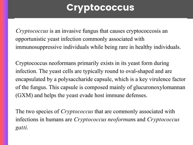 Medically Important Cryptococcus species.pptx