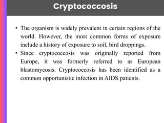 Medically Important Cryptococcus species.pptx