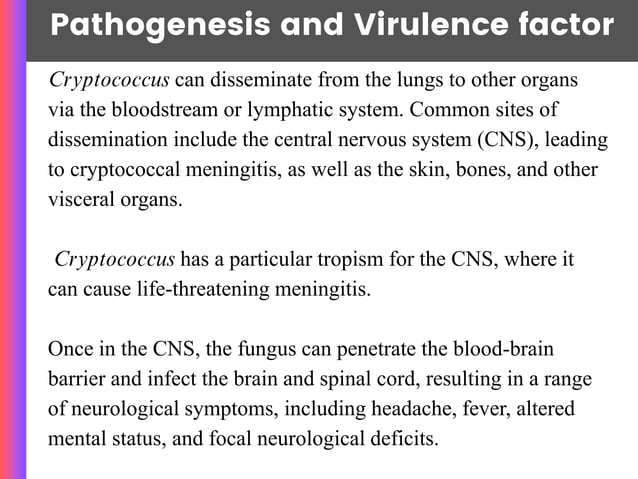 Medically Important Cryptococcus species.pptx
