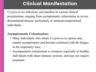 Medically Important Cryptococcus species.pptx
