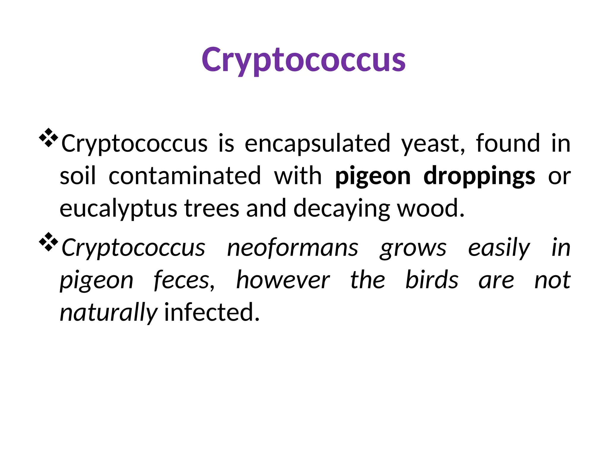 Cryptococcus. var. gattii, var. neoformans and var. grubii. | PPT ...