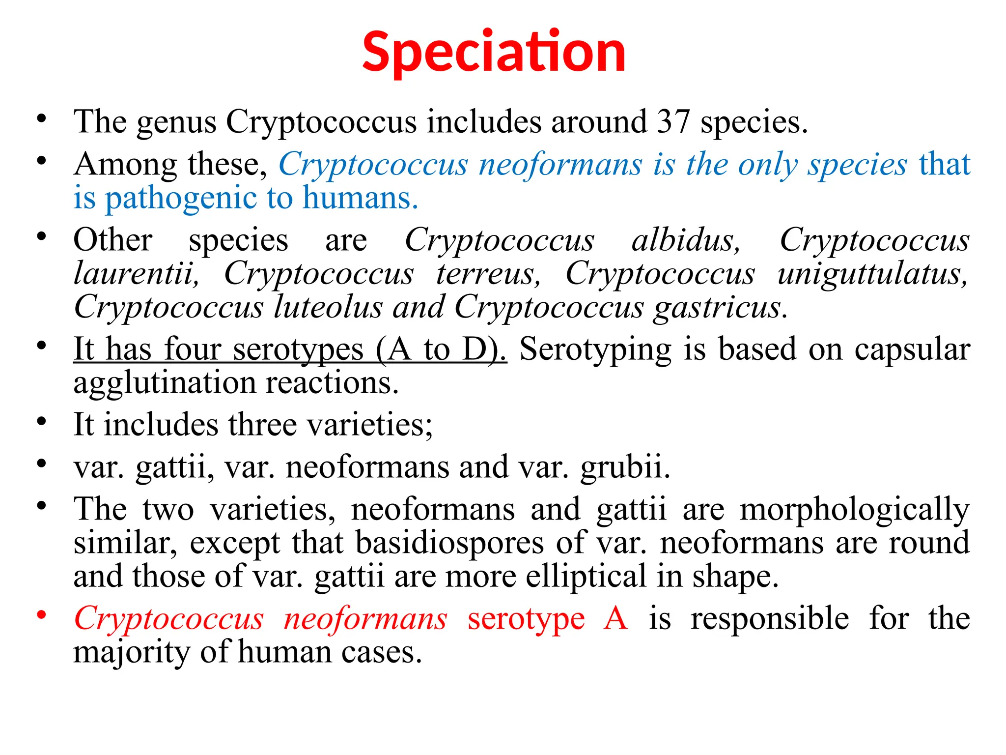 Cryptococcus Var Gattii Var Neoformans And Var Grubii Ppt