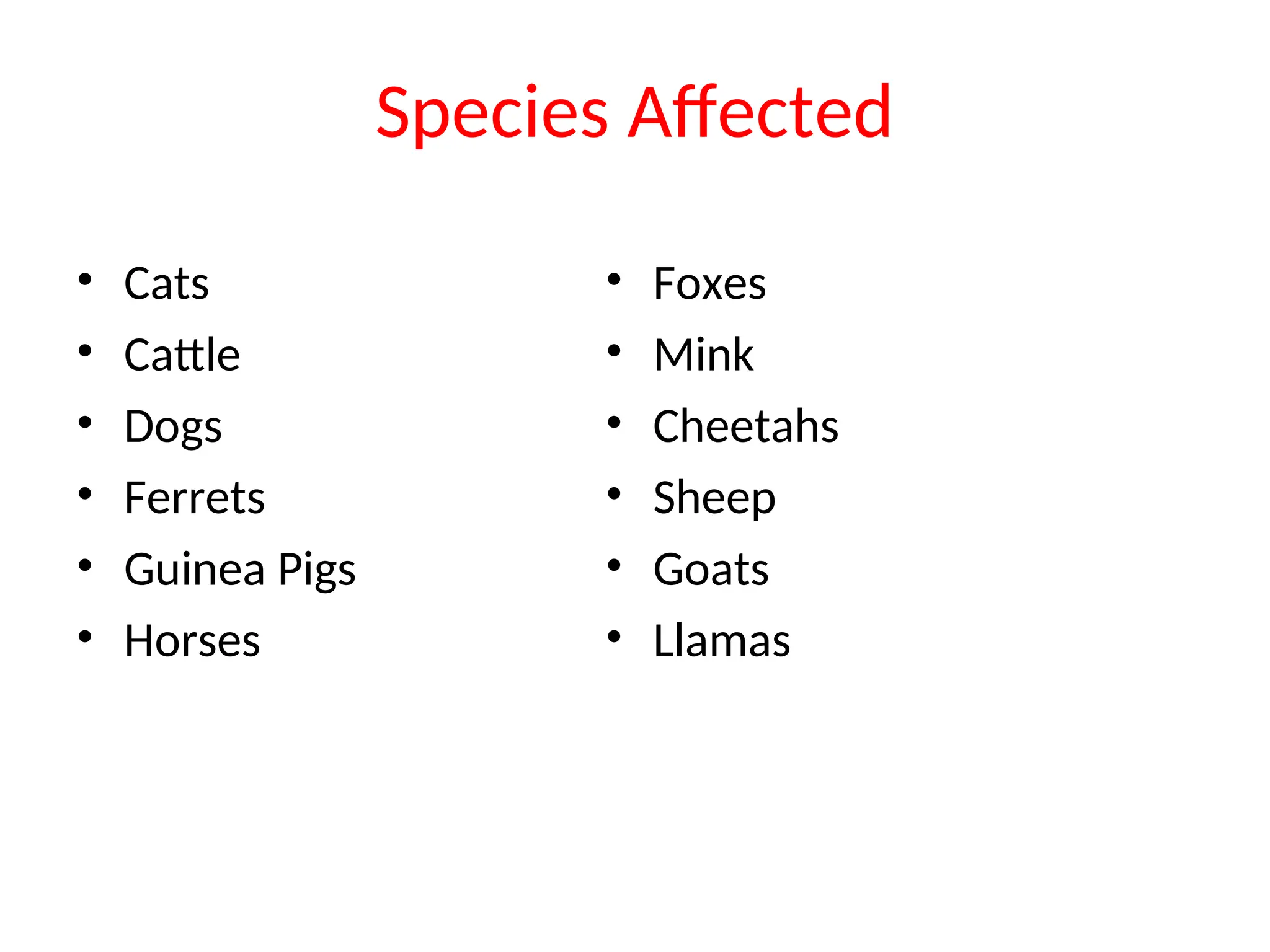 Cryptococcus Var Gattii Var Neoformans And Var Grubii Ppt Infectious Diseases