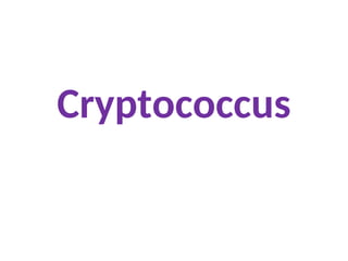 Cryptococcus. var. gattii, var. neoformans and var. grubii. | PPT ...