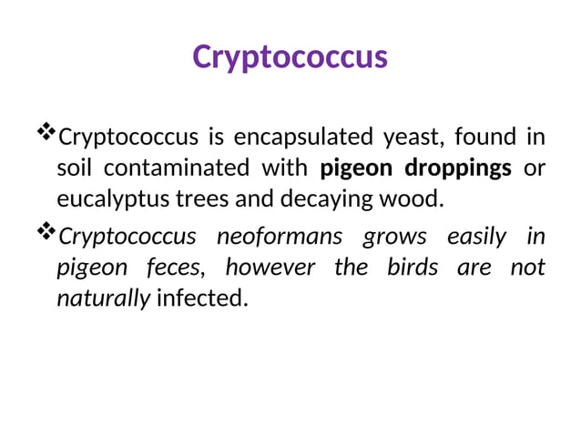 Cryptococcus. var. gattii, var. neoformans and var. grubii. | PPT