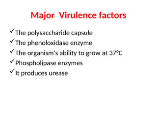 Cryptococcus. var. gattii, var. neoformans and var. grubii. | PPT ...