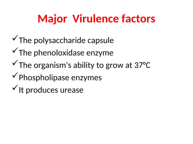 Cryptococcus. var. gattii, var. neoformans and var. grubii. | PPT ...