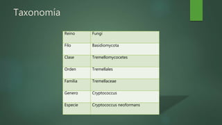 Cryptococcus neoformans | PPTX