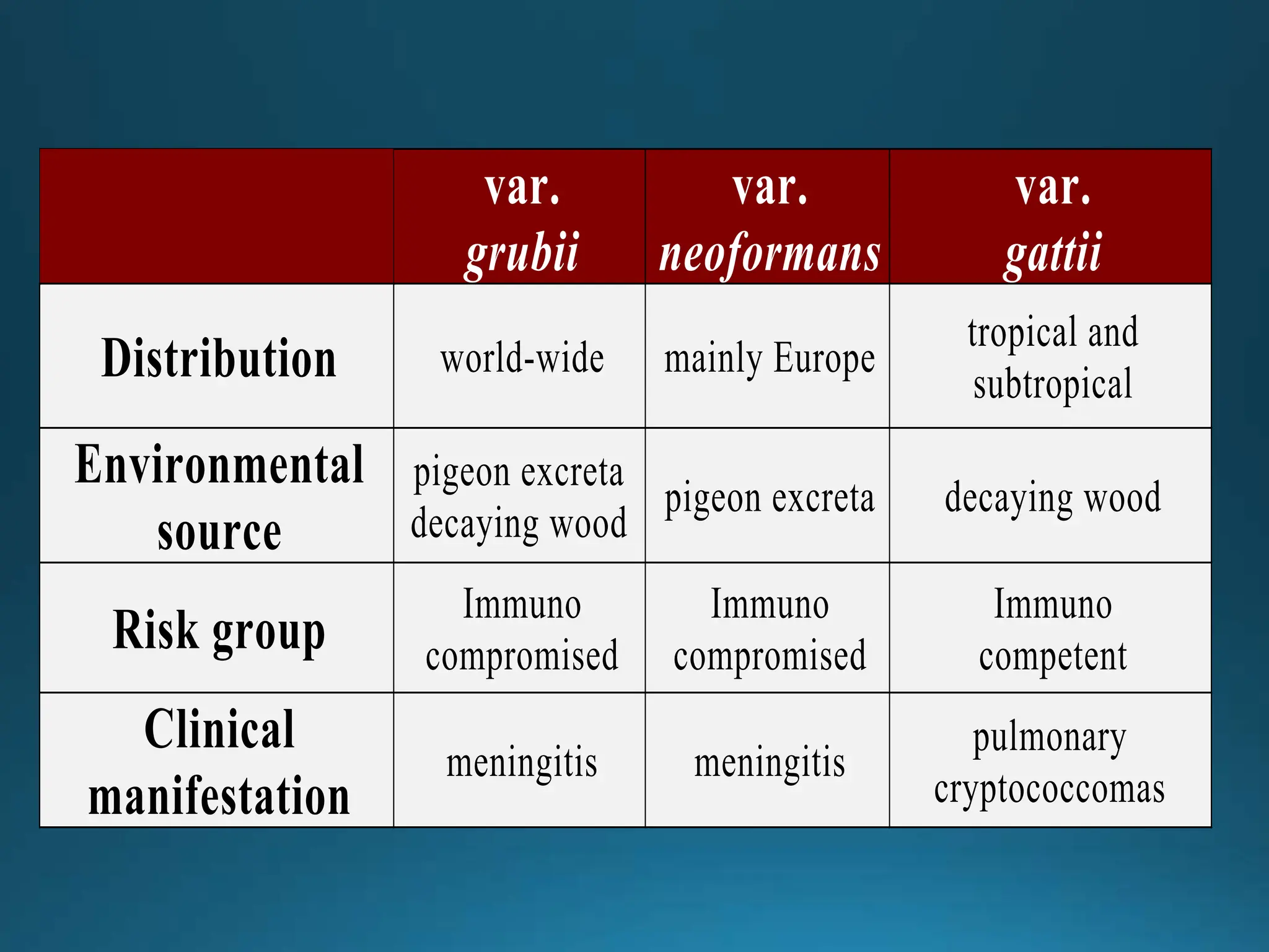 Cryptococcus neoformans for bmit class.pptx