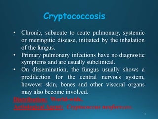 Cryptococcus neoformans for bmit class.pptx