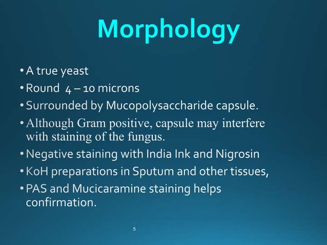 Cryptococcus Neoformans For Bmit Class Pptx