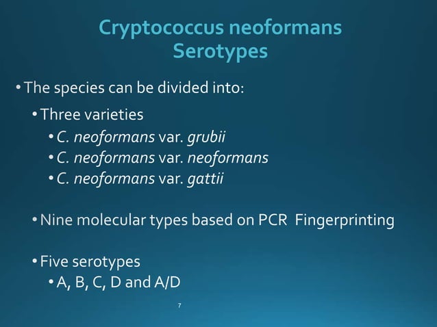 Cryptococcus neoformans for bmit class.pptx