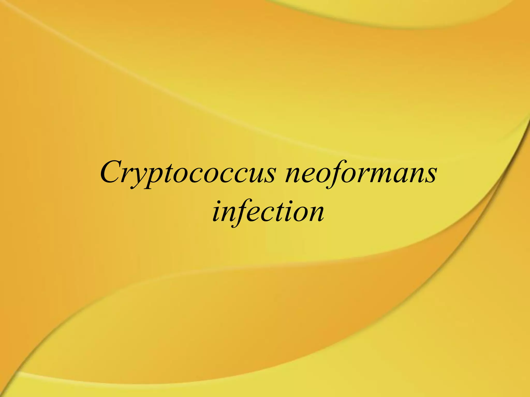 Cryptococcus neoformans infection.pdf