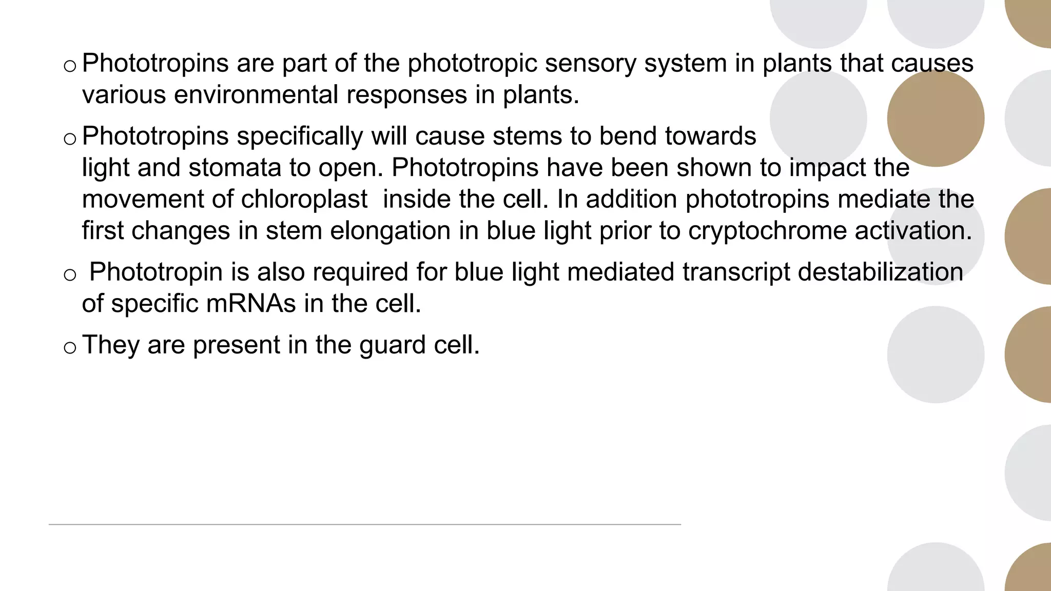 cryptoctochromes and phototropins | PPTX