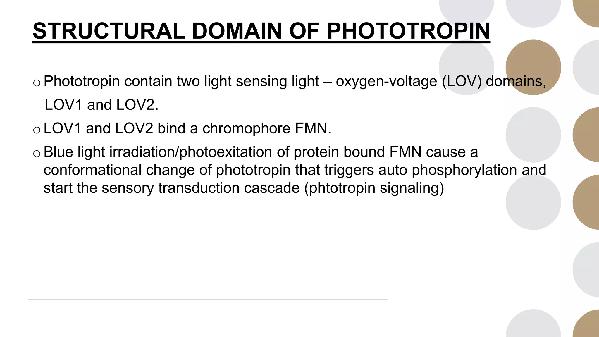 cryptoctochromes and phototropins | PPTX