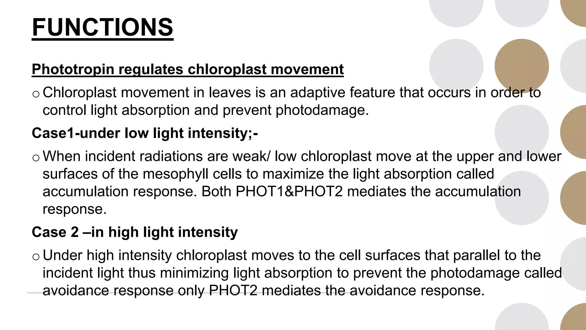 cryptoctochromes and phototropins | PPTX