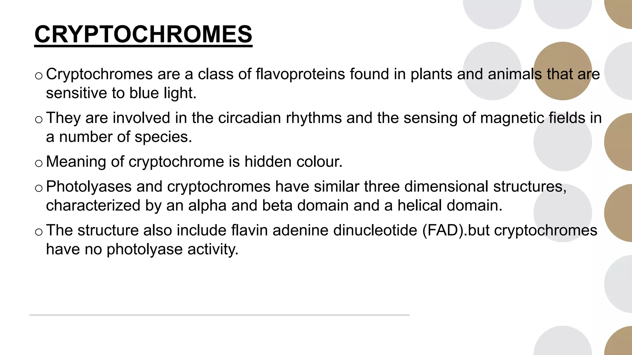 cryptoctochromes and phototropins | PPTX