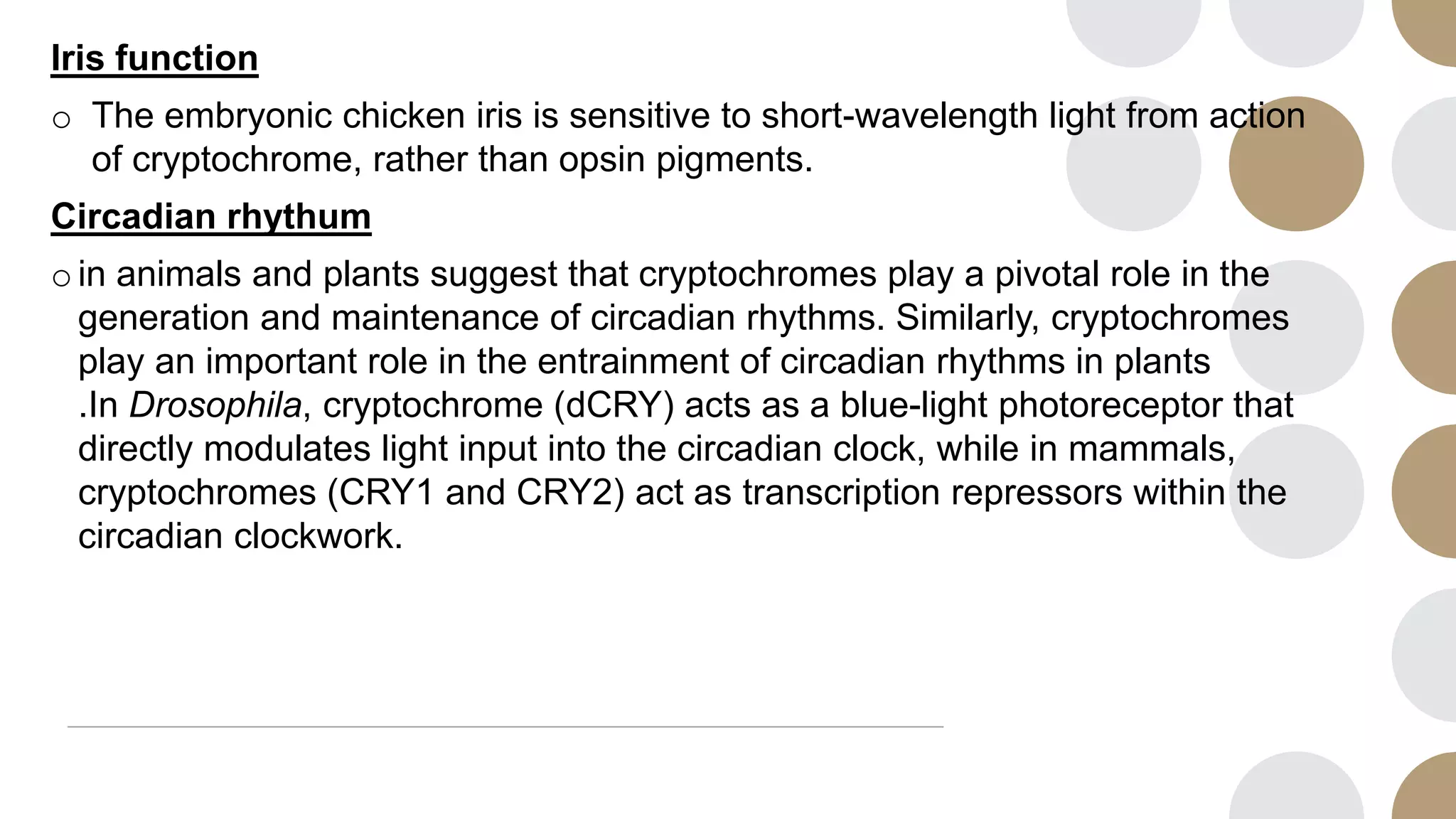 cryptoctochromes and phototropins | PPTX