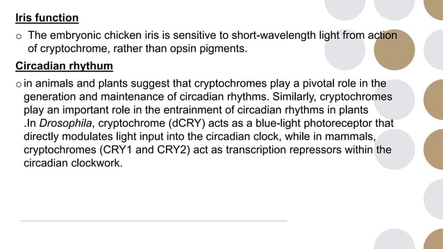 cryptoctochromes and phototropins | PPTX | Biological Sciences | Science