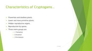 Cryptogam | PPTX
