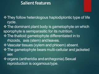 cryptogames.pptx | Infertility | Reproductive Health