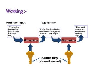 Cryptography | PPTX | Programming Languages | Computing