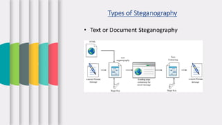 Cryptography and Steganography | PDF | Information and Network Security | Computing