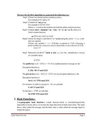 White Paper on Cryptography | PDF | Information and Network Security | Computing