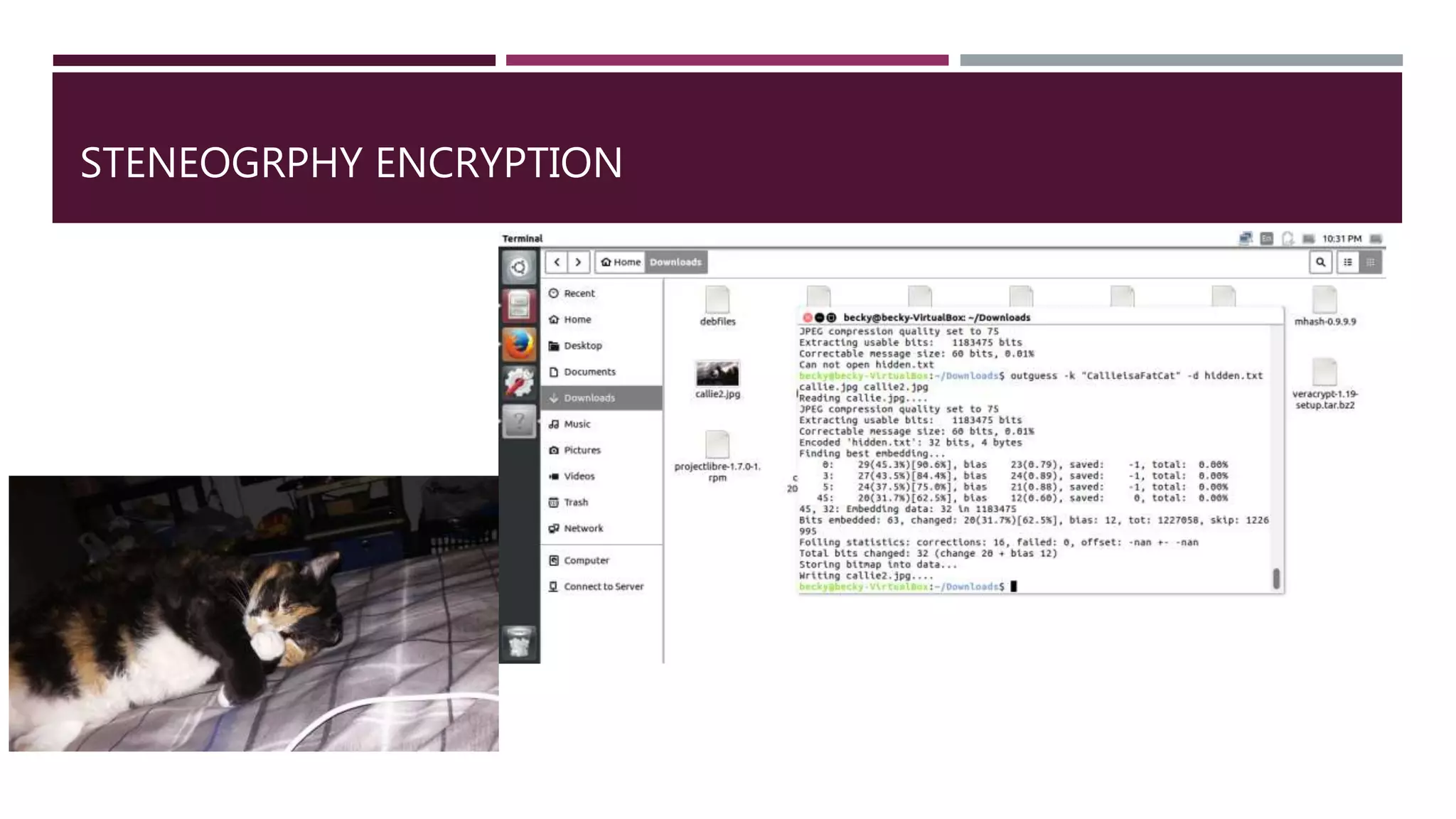 Cryptography task | PPTX