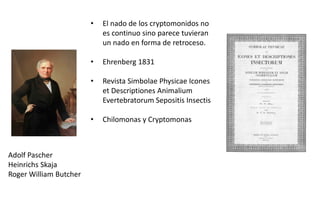 CRYPTOPHYTA (Morfología, características).pdf