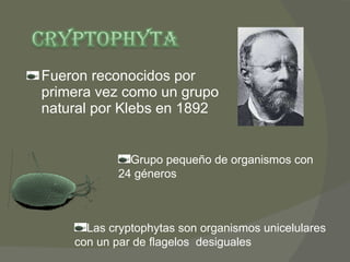Cryptophyta expo final2 | PPT
