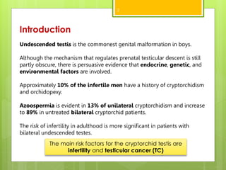 Undescended Testis- Cryptorchidism | PPTX