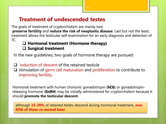 Undescended Testis Cryptorchidism