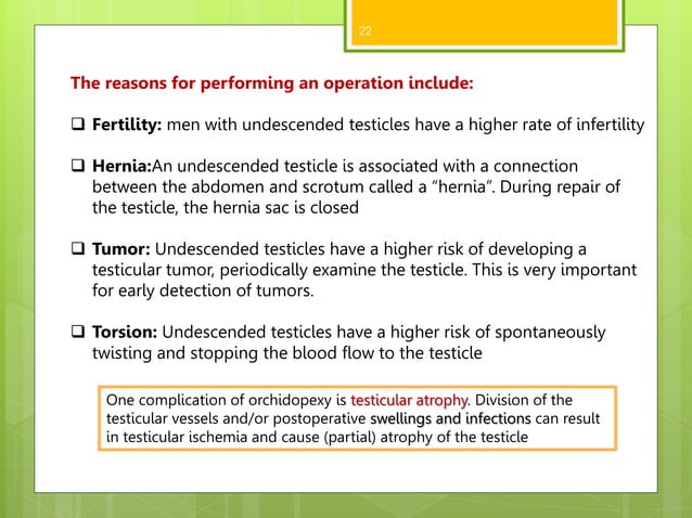 Undescended Testis Cryptorchidism