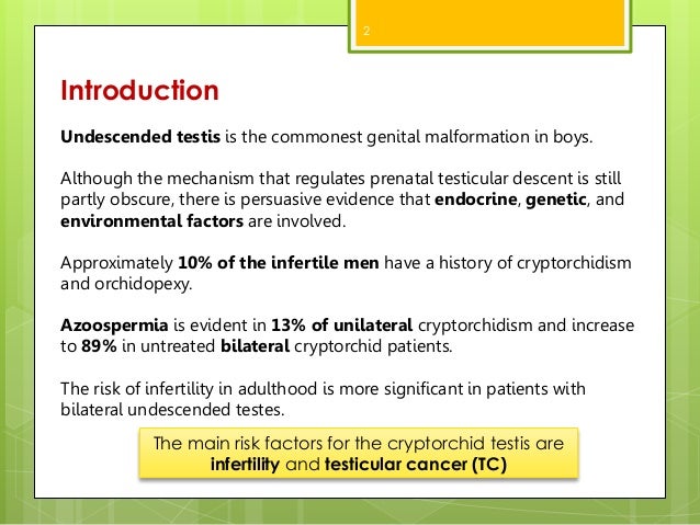 Undescended Testis Cryptorchidism